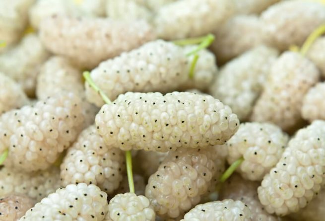 10 Surprising Health Benefits of Mulberries