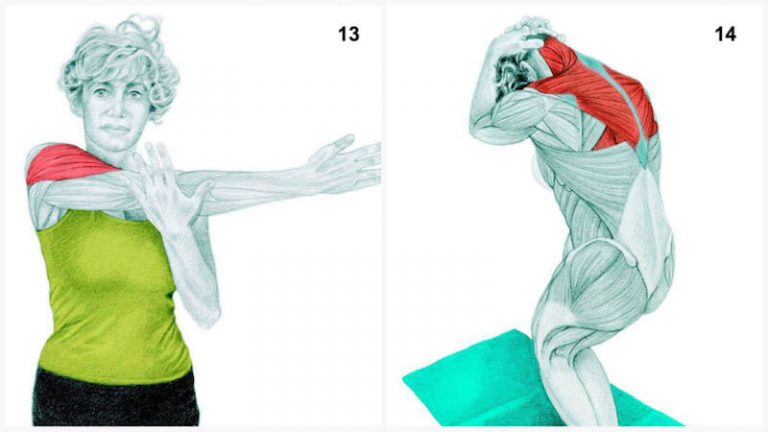 These 34 Pictures Will Help You See Which Muscle You’re Stretching ...