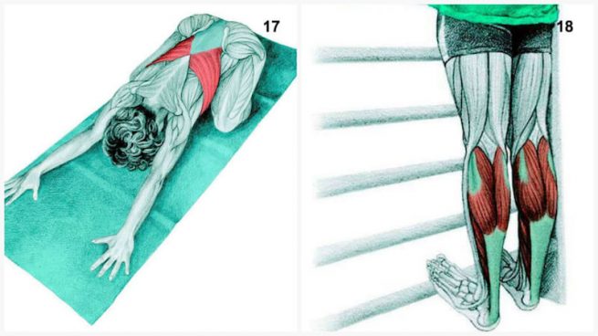 These 34 Pictures Will Help You See Which Muscle You’re Stretching ...