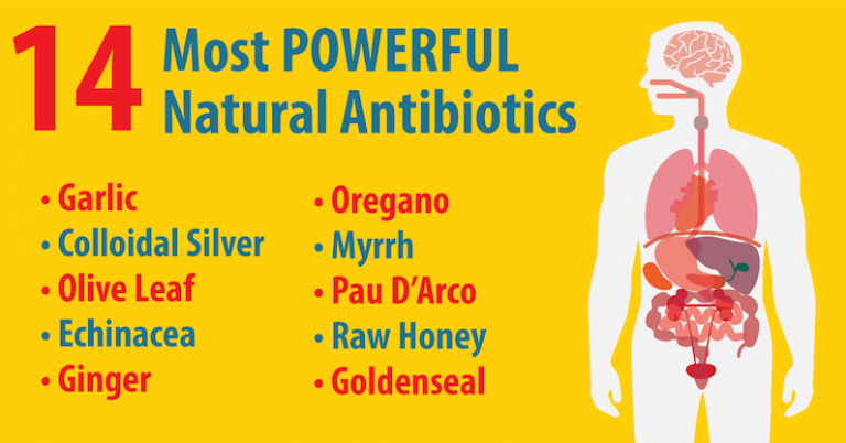 14 Most Powerful Natural Antibiotics Known to Humankind - Live Love Fruit