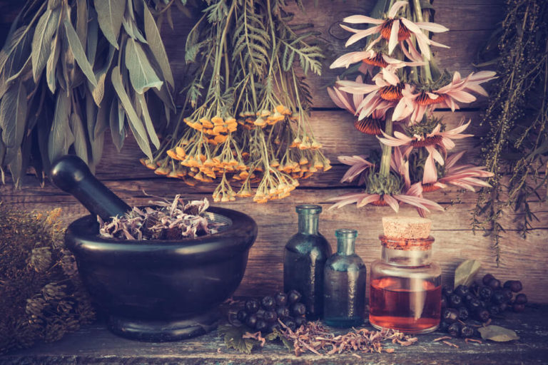 32 Long-Forgotten Medicinal Plants Our Ancestors Used To Heal Any ...