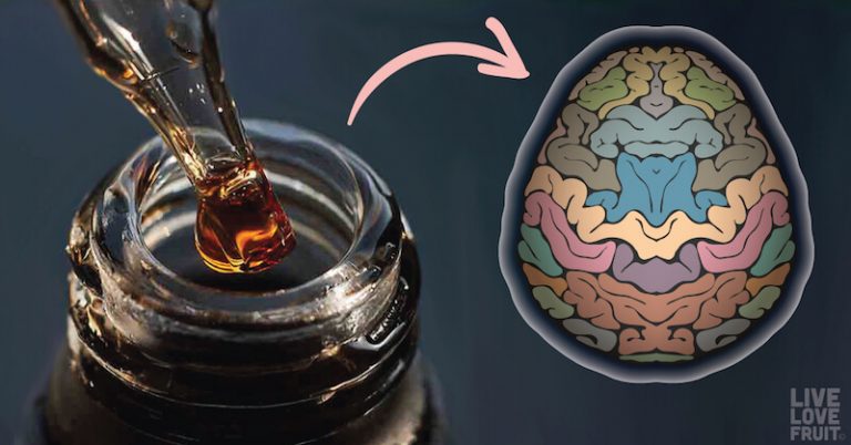 Top 3 Essential Oils for ADHD To Calm, Relax and Improve Focus and ...