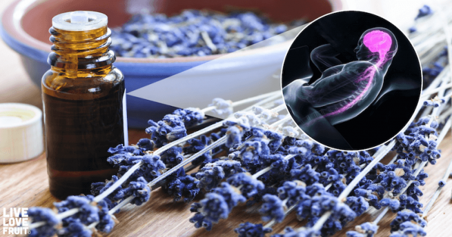 The Best 9 Essential Oils for Sleep (Say Goodbye to Insomnia and ...