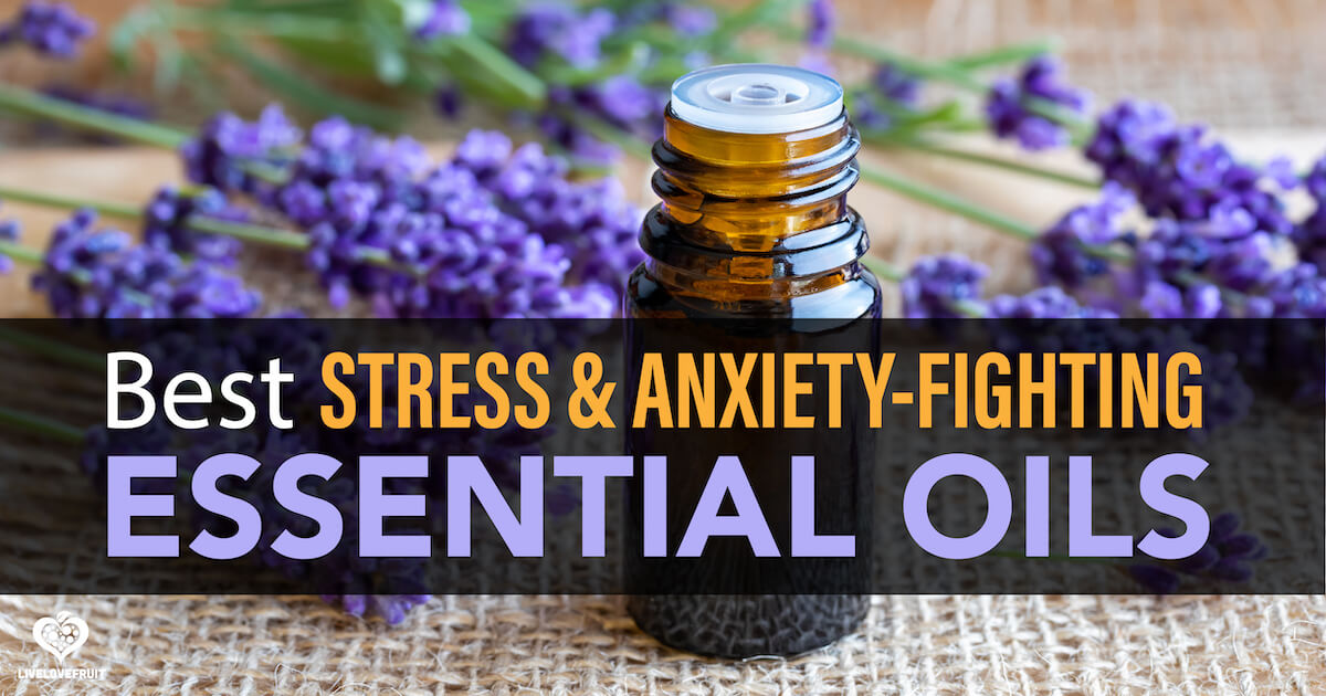 Top 10 Stress-Busting Essential Oils to Relax Your Body and Mind - Live ...