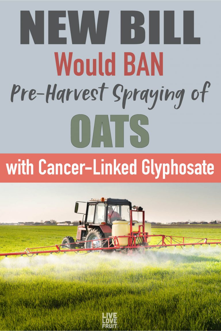 Glyphosate-Free Oats: New Bill Would Ban Pre-Harvest Weedkiller on Oats ...
